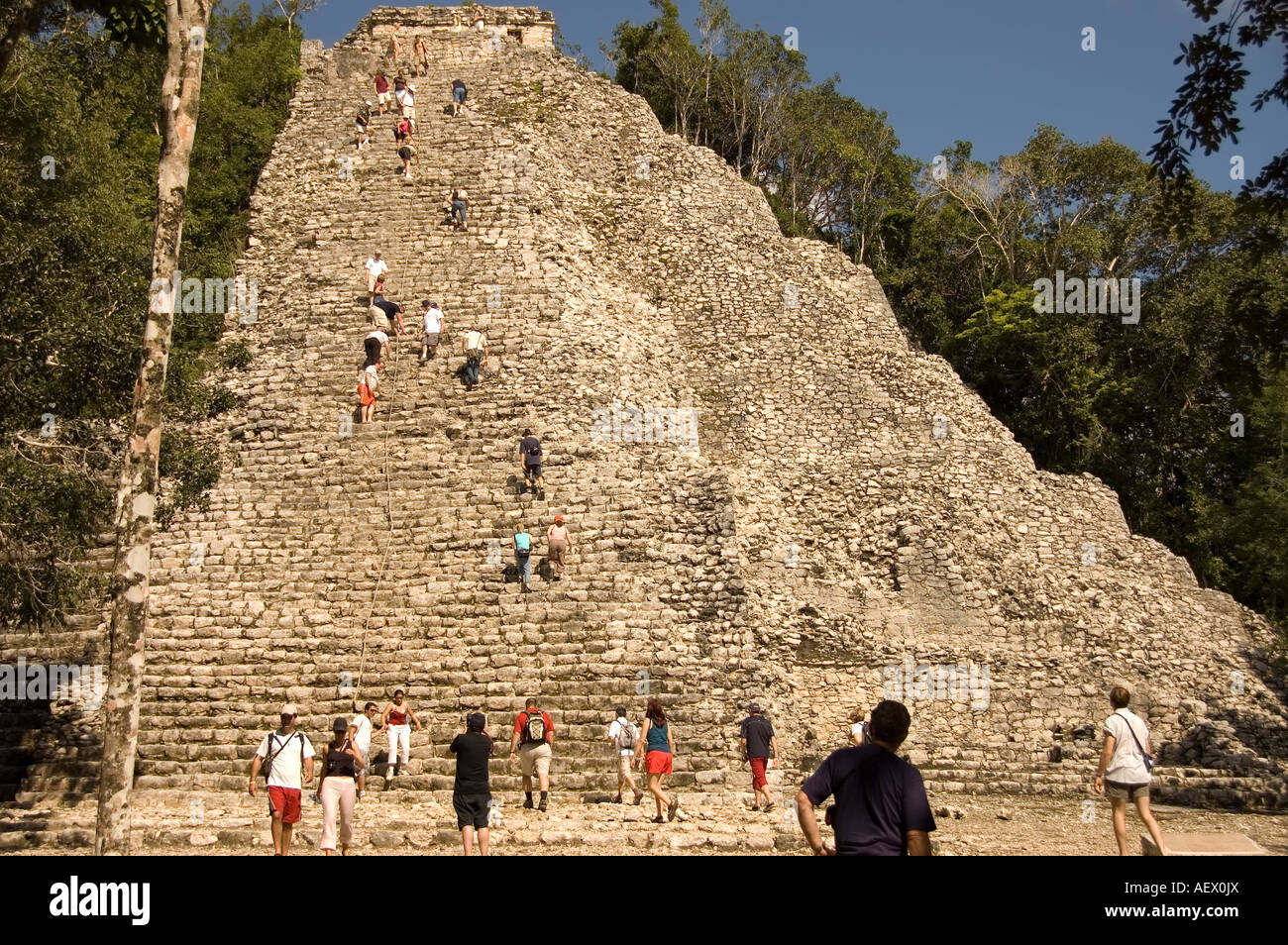 Maya pyramid, Yucatan Stock Photo - Alamy