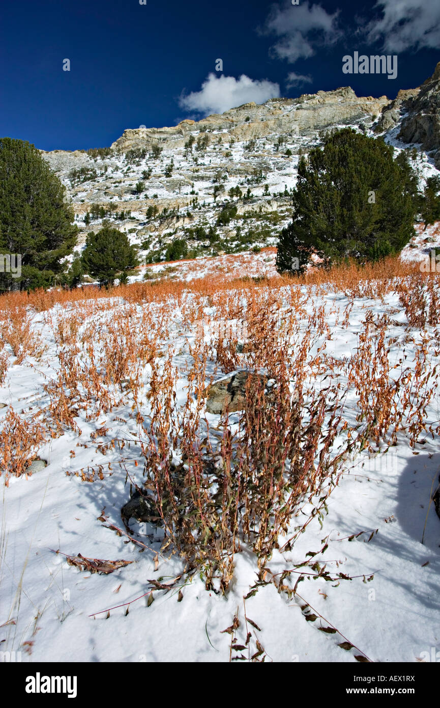 Ruby mountains Nevada Stock Photo - Alamy