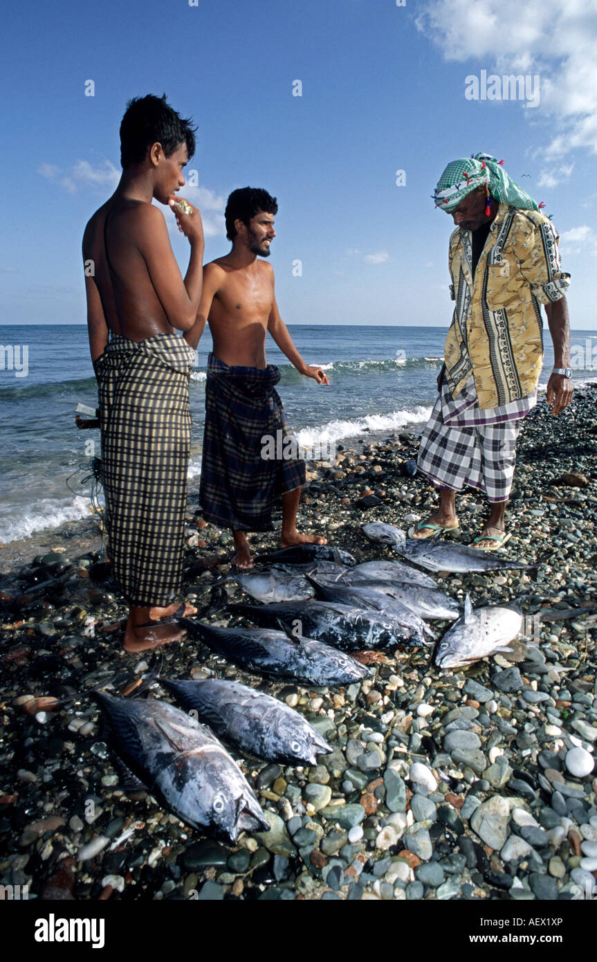 Fish market Hadibu Socotra Island Yemen Stock Photo - Alamy