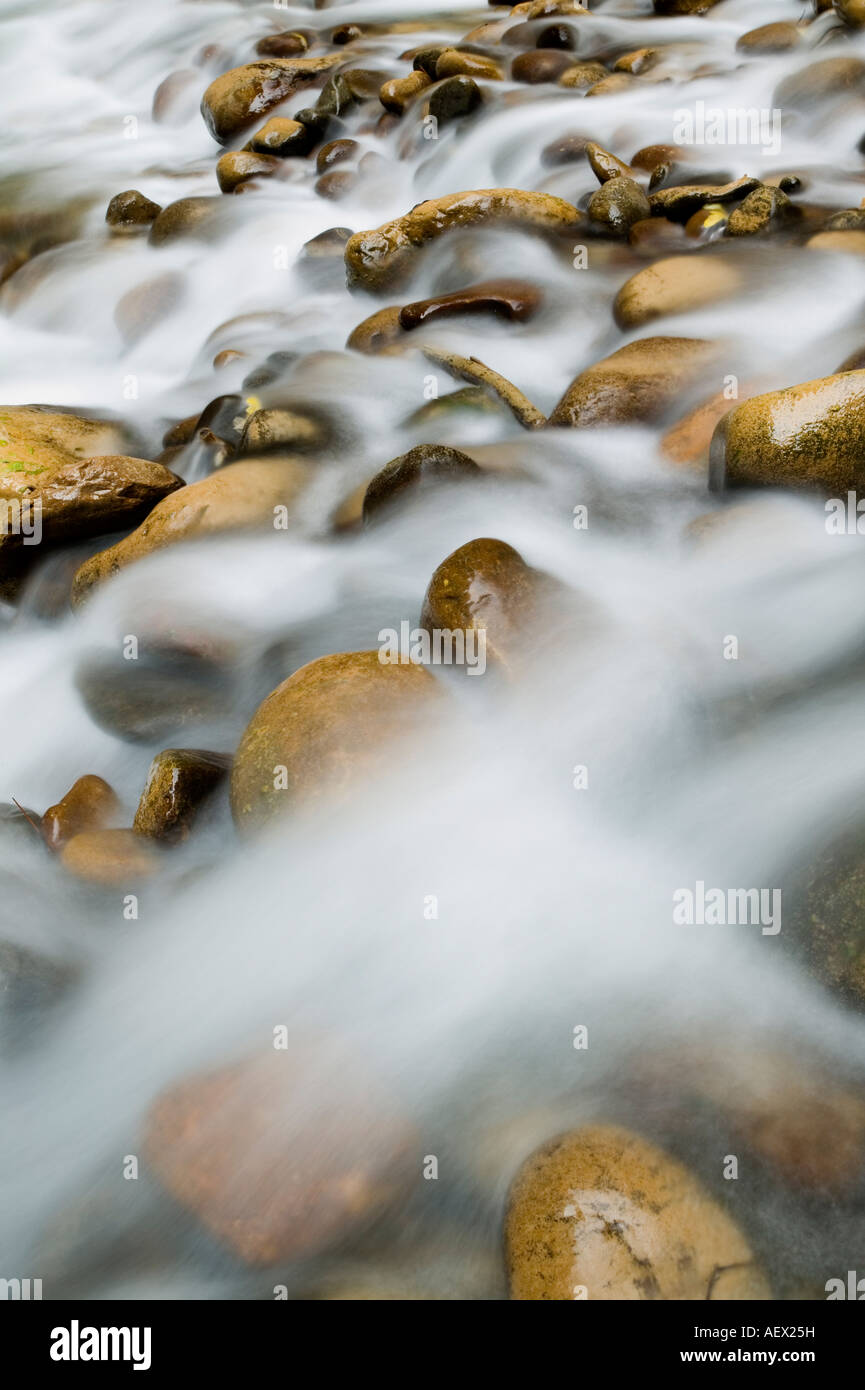 Autumn stream Zion national park Stock Photo - Alamy