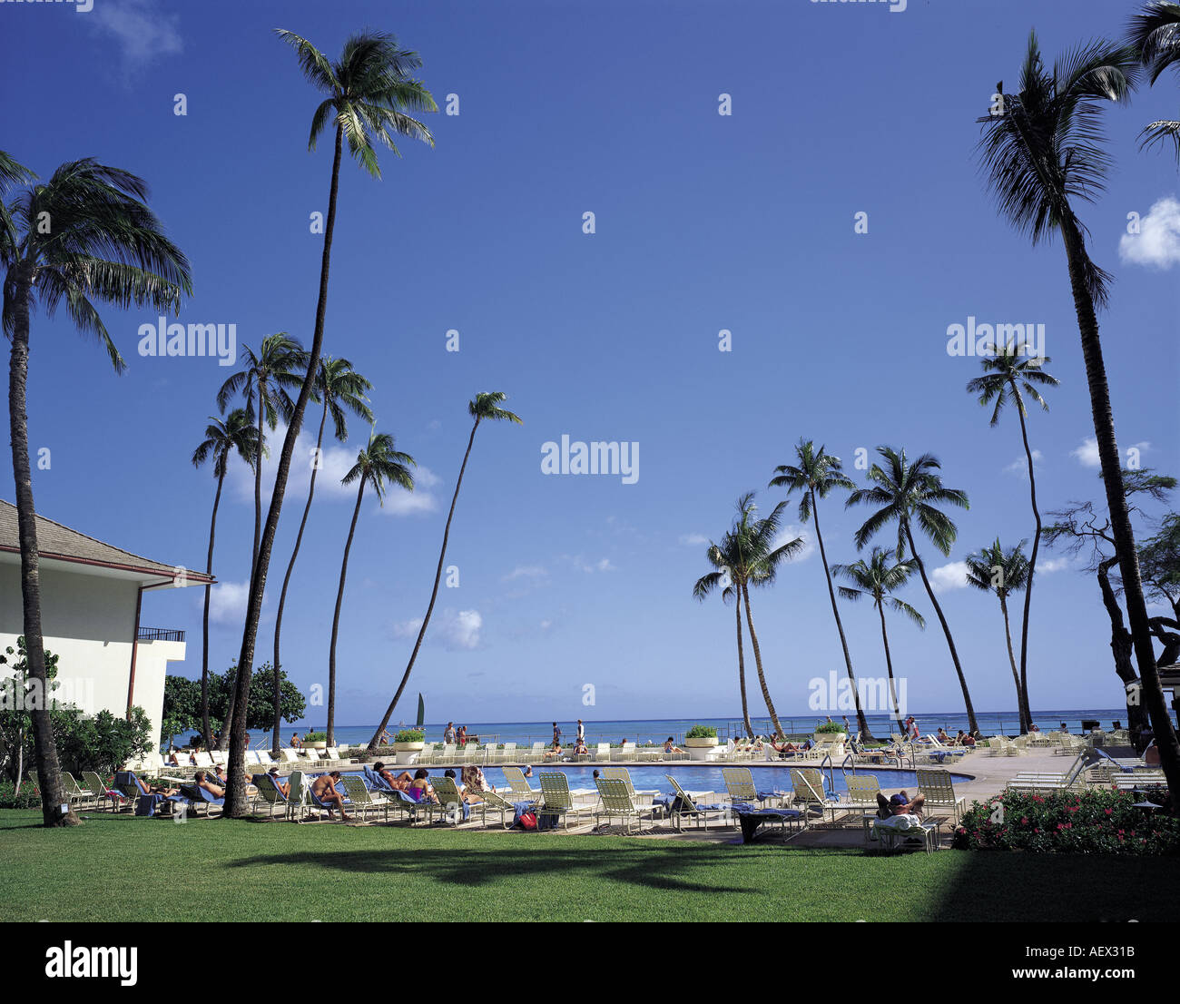 Halekulani hi-res stock photography and images - Alamy