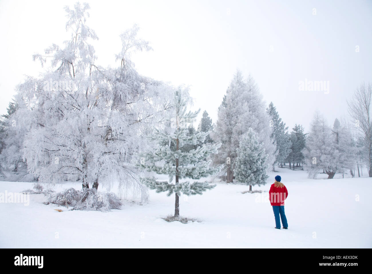 Freezing person winter hi-res stock photography and images - Alamy