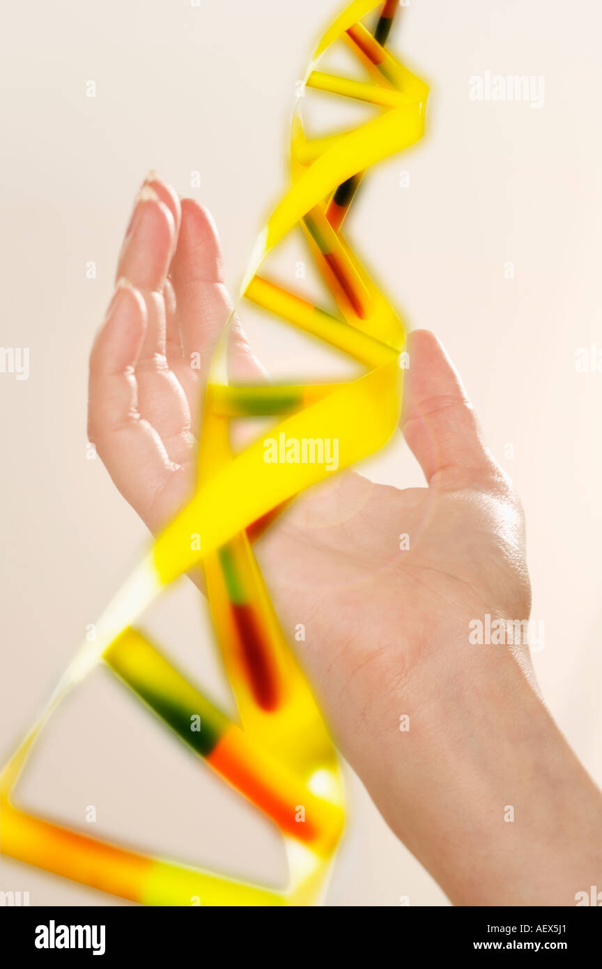 Hand holding dna model hi-res stock photography and images - Alamy