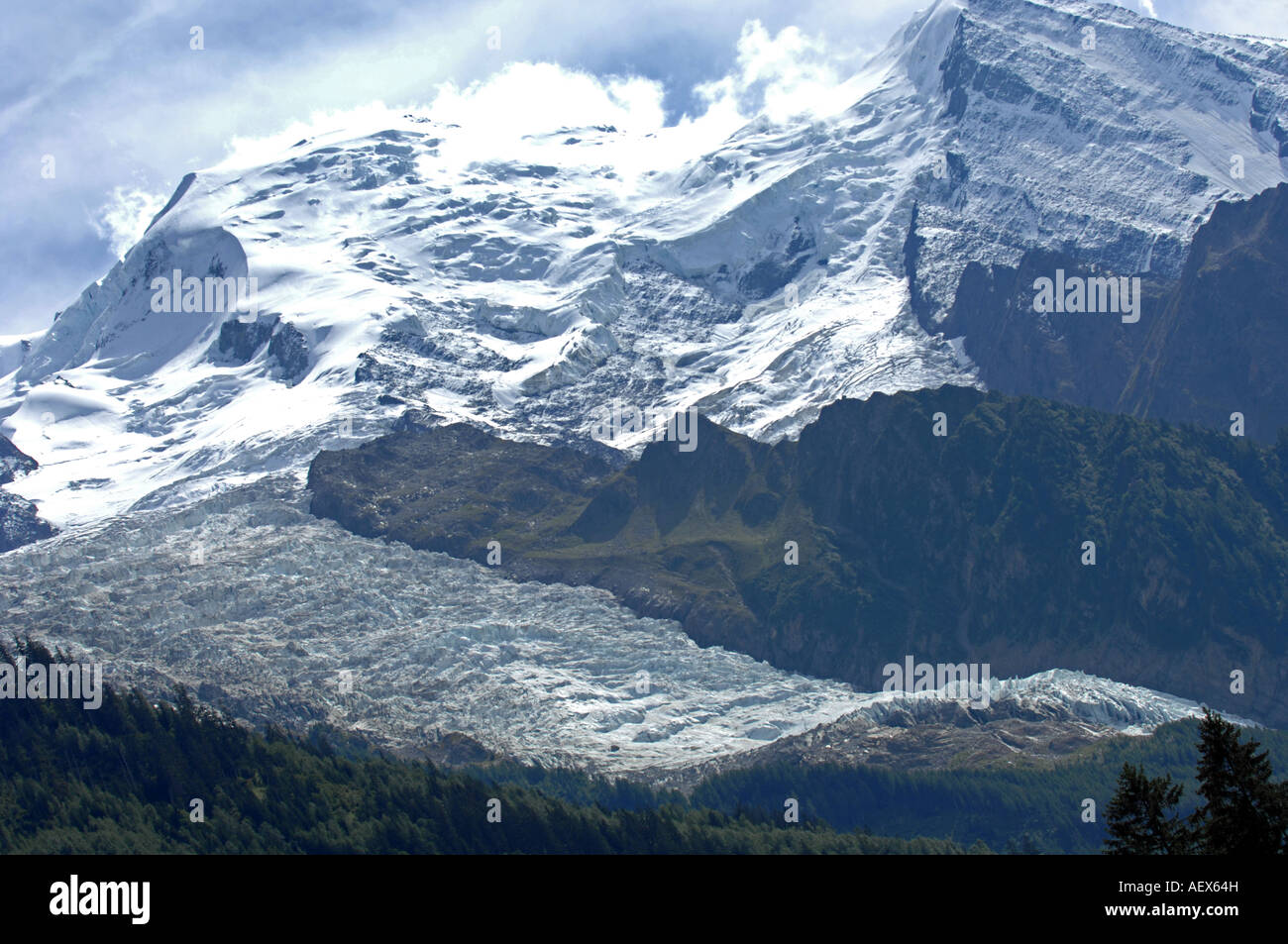 Blanc des blanc hi-res stock photography and images - Alamy