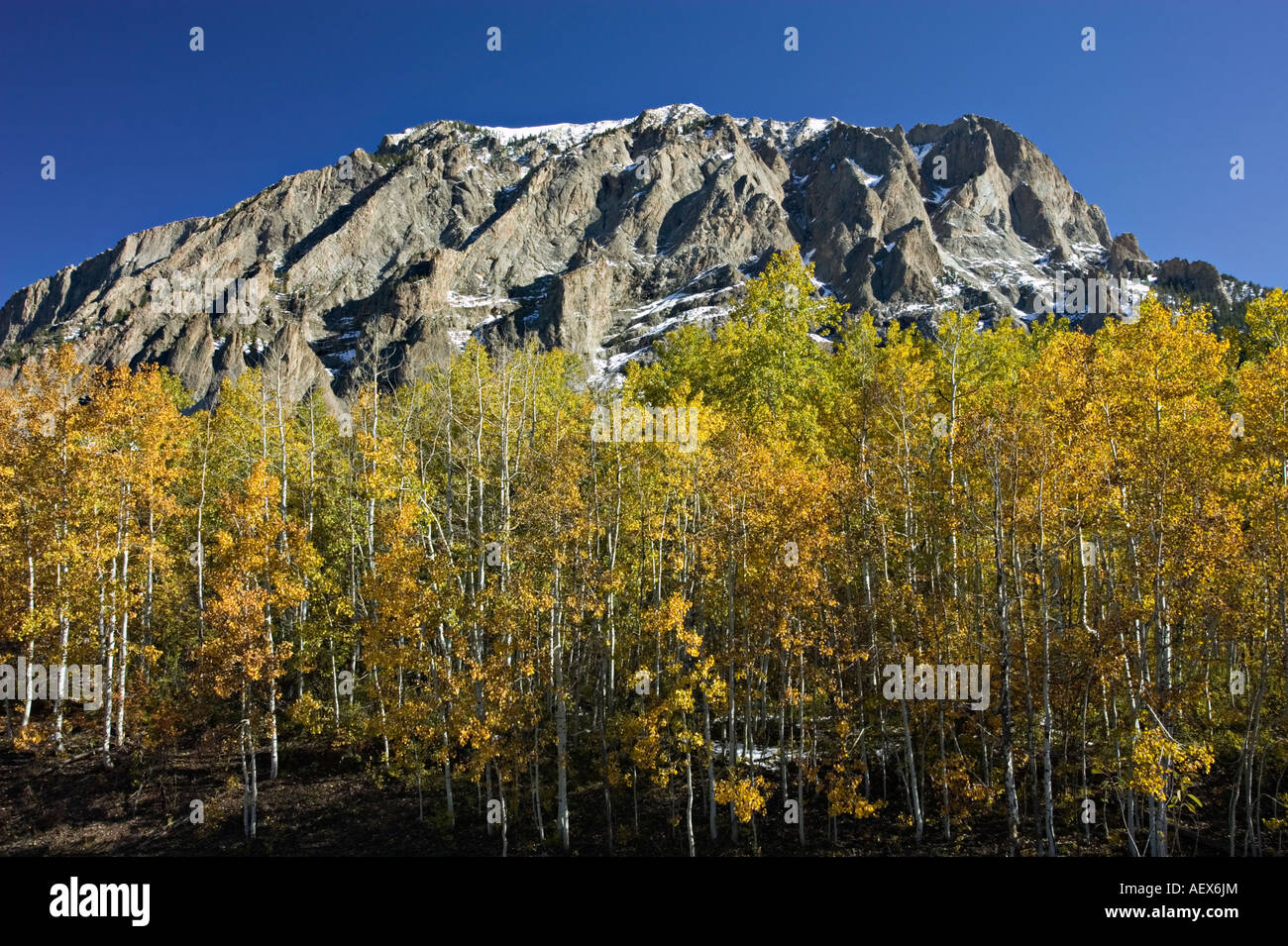 Gunnison national forest Stock Photo - Alamy