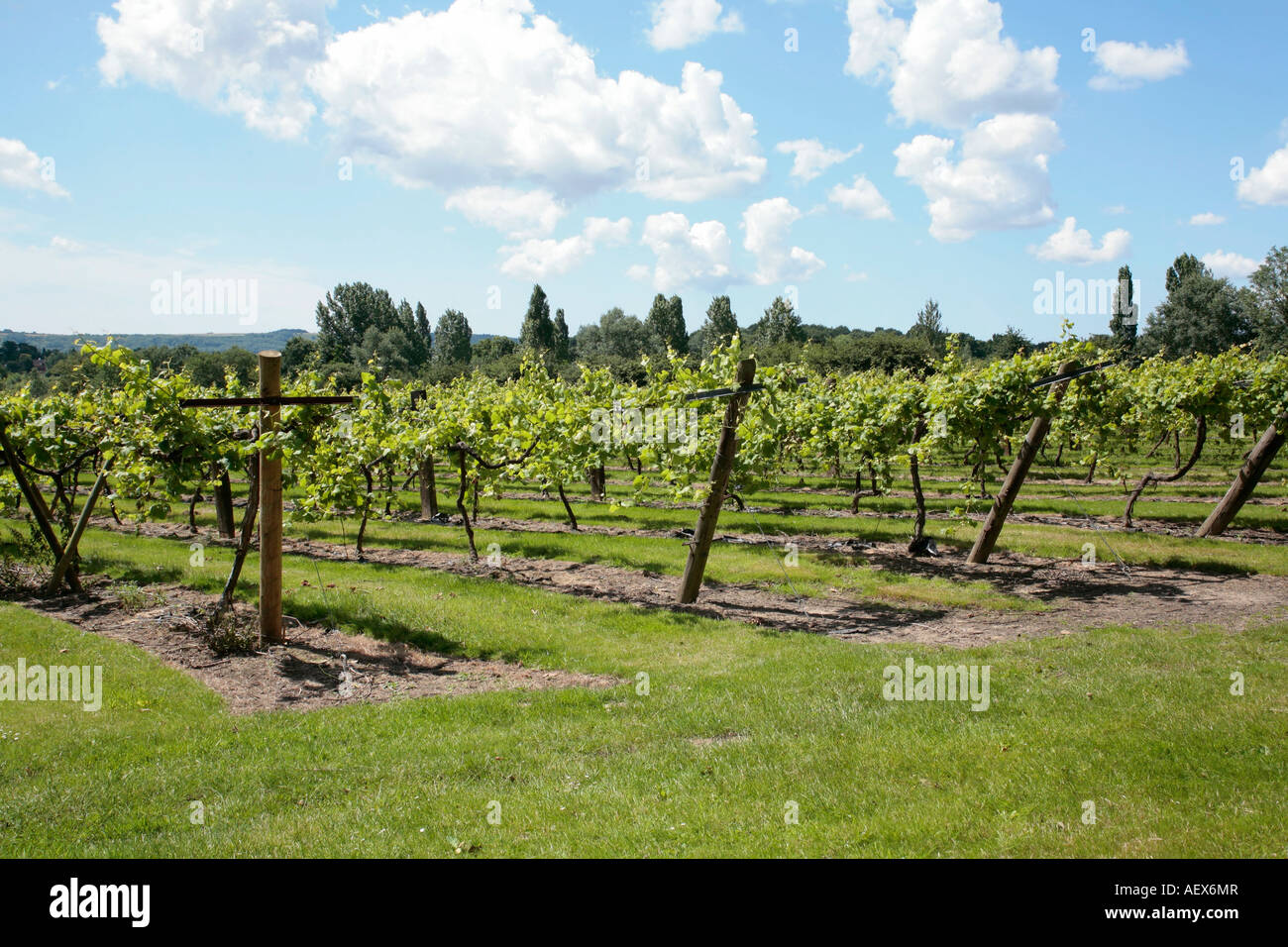 Pulborough west sussex hi-res stock photography and images - Alamy