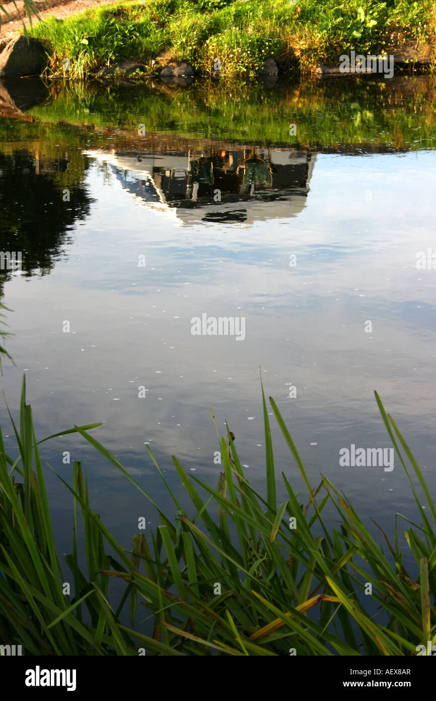 Bushmills river bush hi-res stock photography and images - Alamy