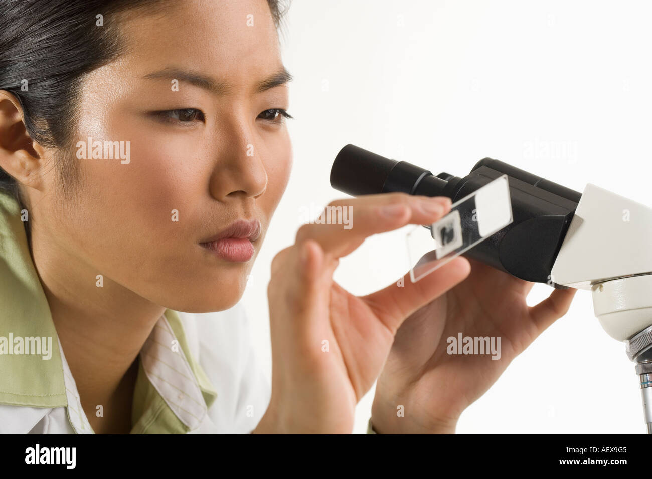 Researching scientist examining samples hi-res stock photography and ...