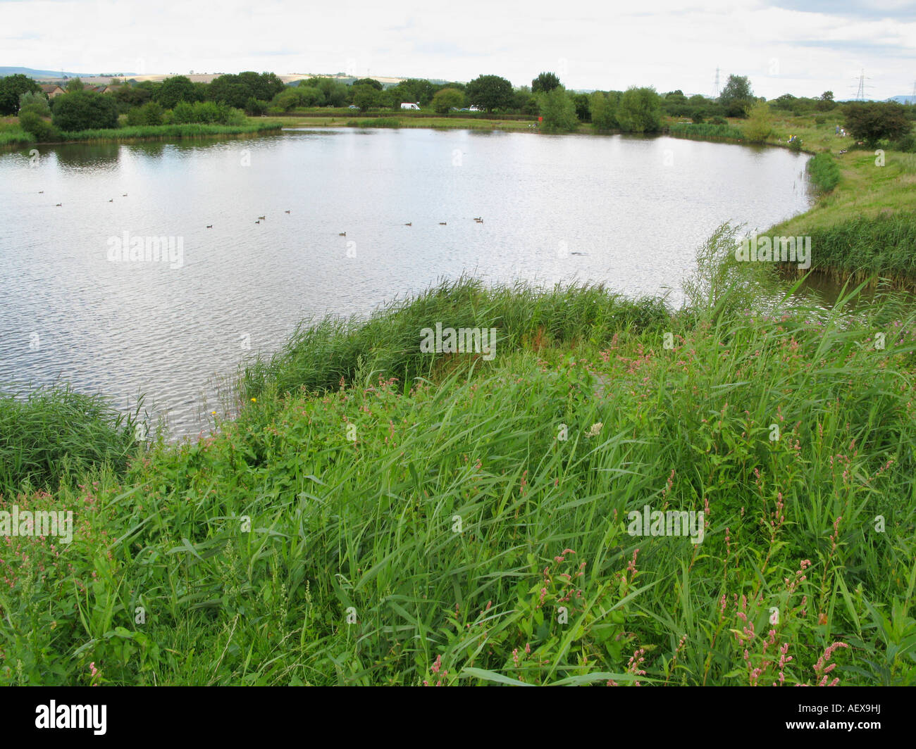 Fishing lake drainage hi-res stock photography and images - Alamy