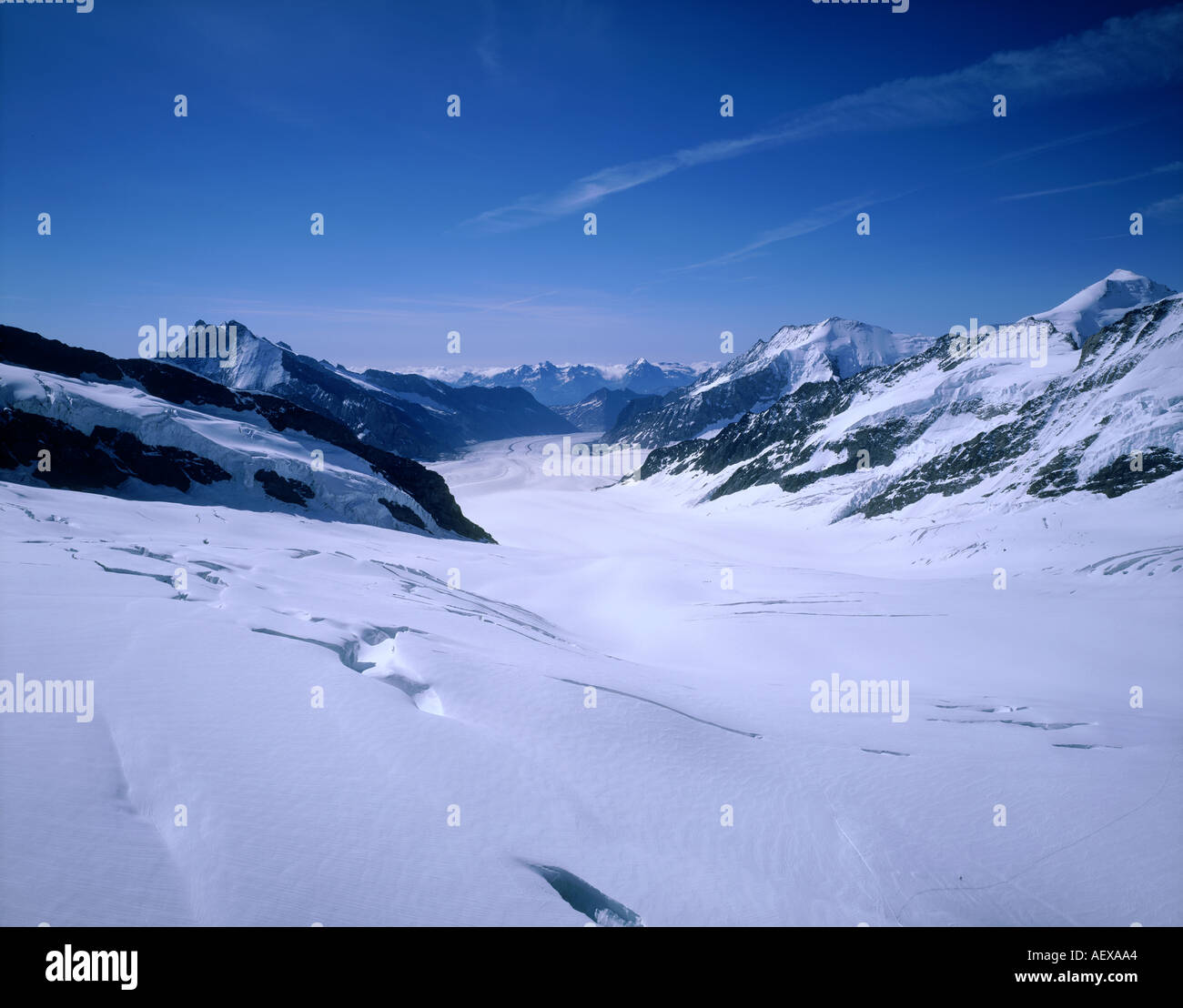 Aletsch Glacier from Sphinx Terrace World Heritage KLEINE SCHEIDEGG ...