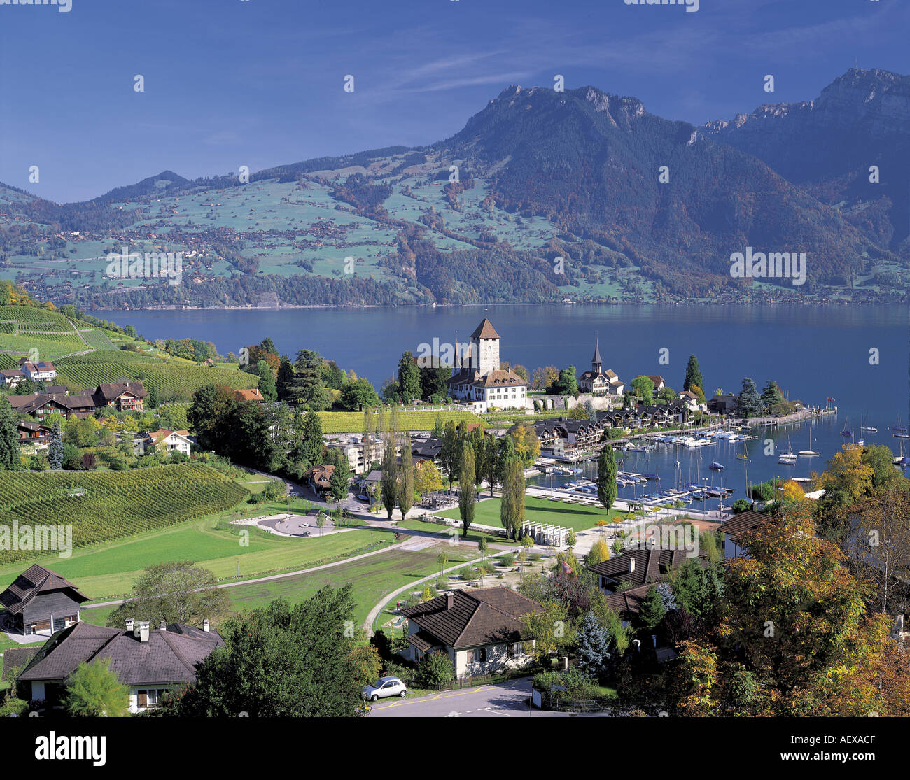 Schloss Spiez and Lake Thun SPIEZ SWITZERLAND Stock Photo - Alamy