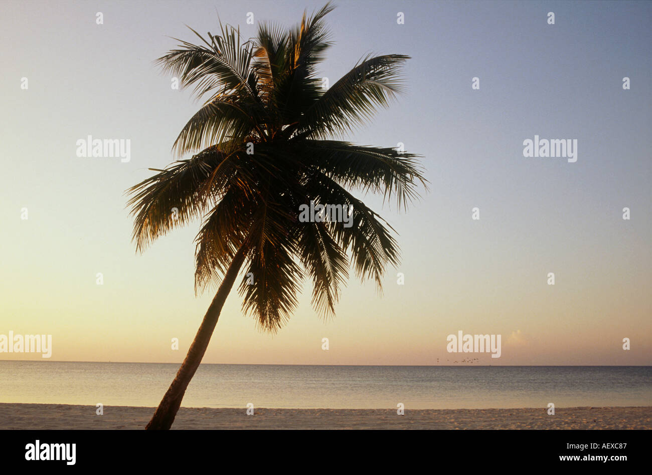 George smathers beach hi-res stock photography and images - Alamy