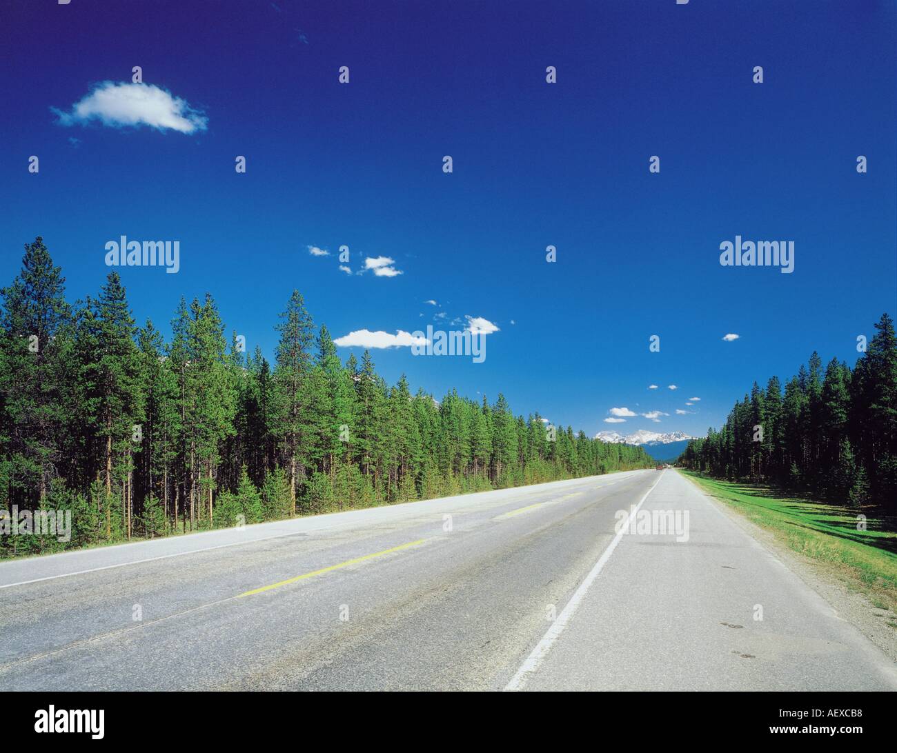 Road through Woods BANFF NATIONAL PARK CANADA Stock Photo - Alamy