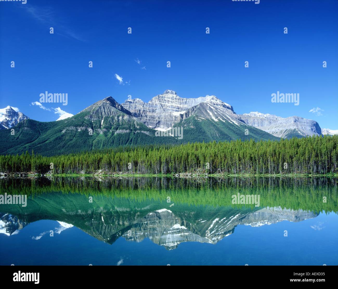 Herbert Lake World Heritage BANFF NATIONAL PARK CANADA Stock Photo - Alamy