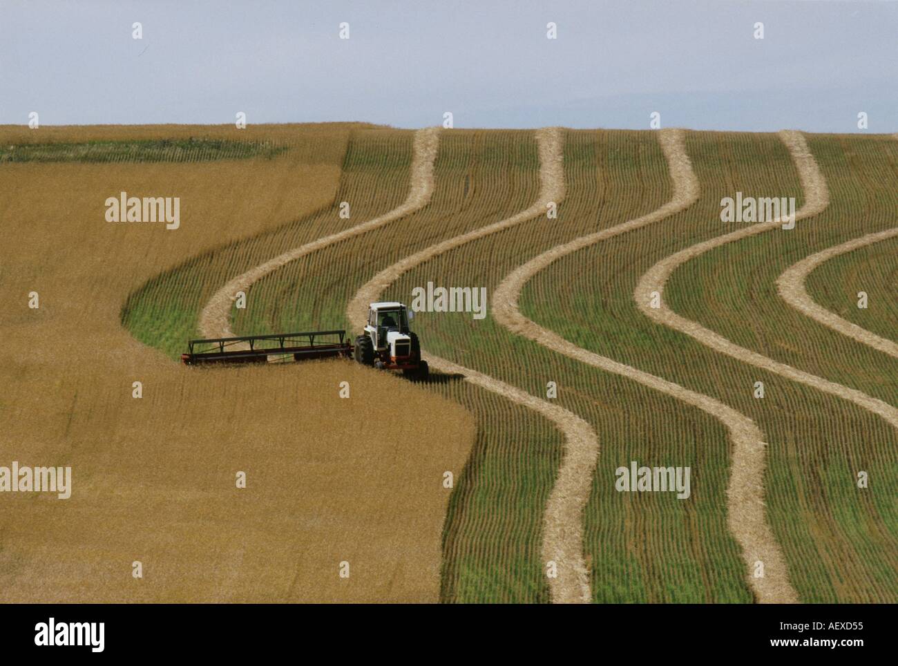 Regina canada farm hi-res stock photography and images - Alamy
