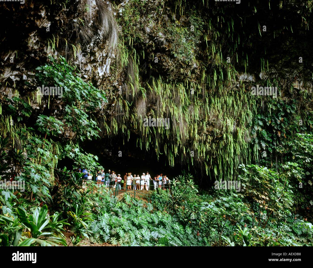 Fern Grotto KAUAI Is HAWAII Stock Photo - Alamy