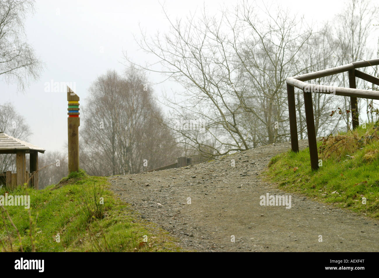 Route marker post in forest park Stock Photo - Alamy