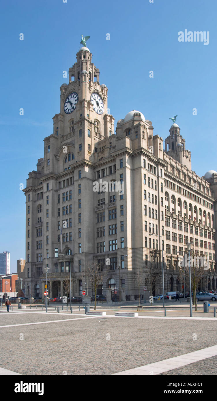 The Liver Building Liverpool Stock Photo - Alamy