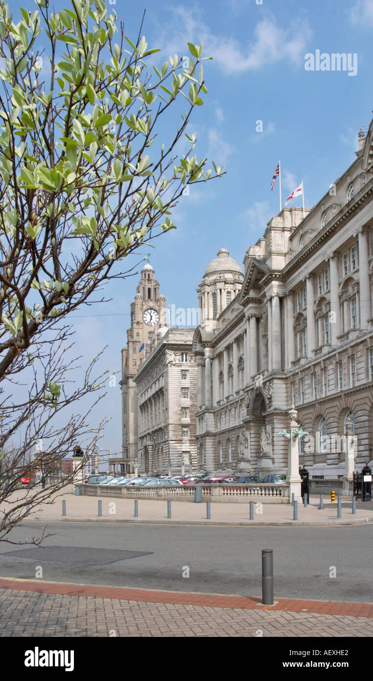 The Three Graces on the waterfront Liverpool Stock Photo - Alamy