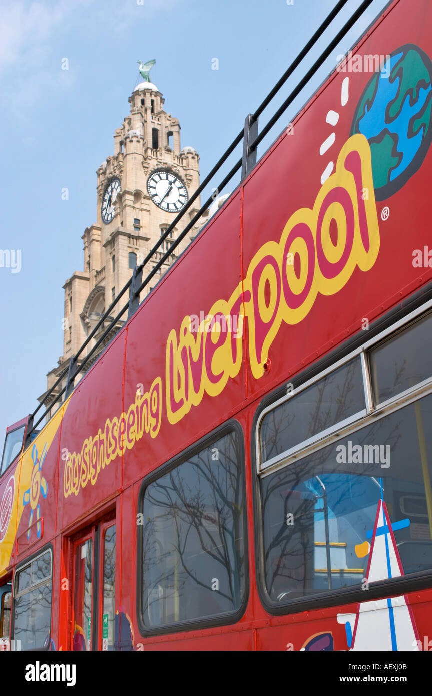 A sightseeing bus in front of the Liver building Liverpool Stock Photo ...
