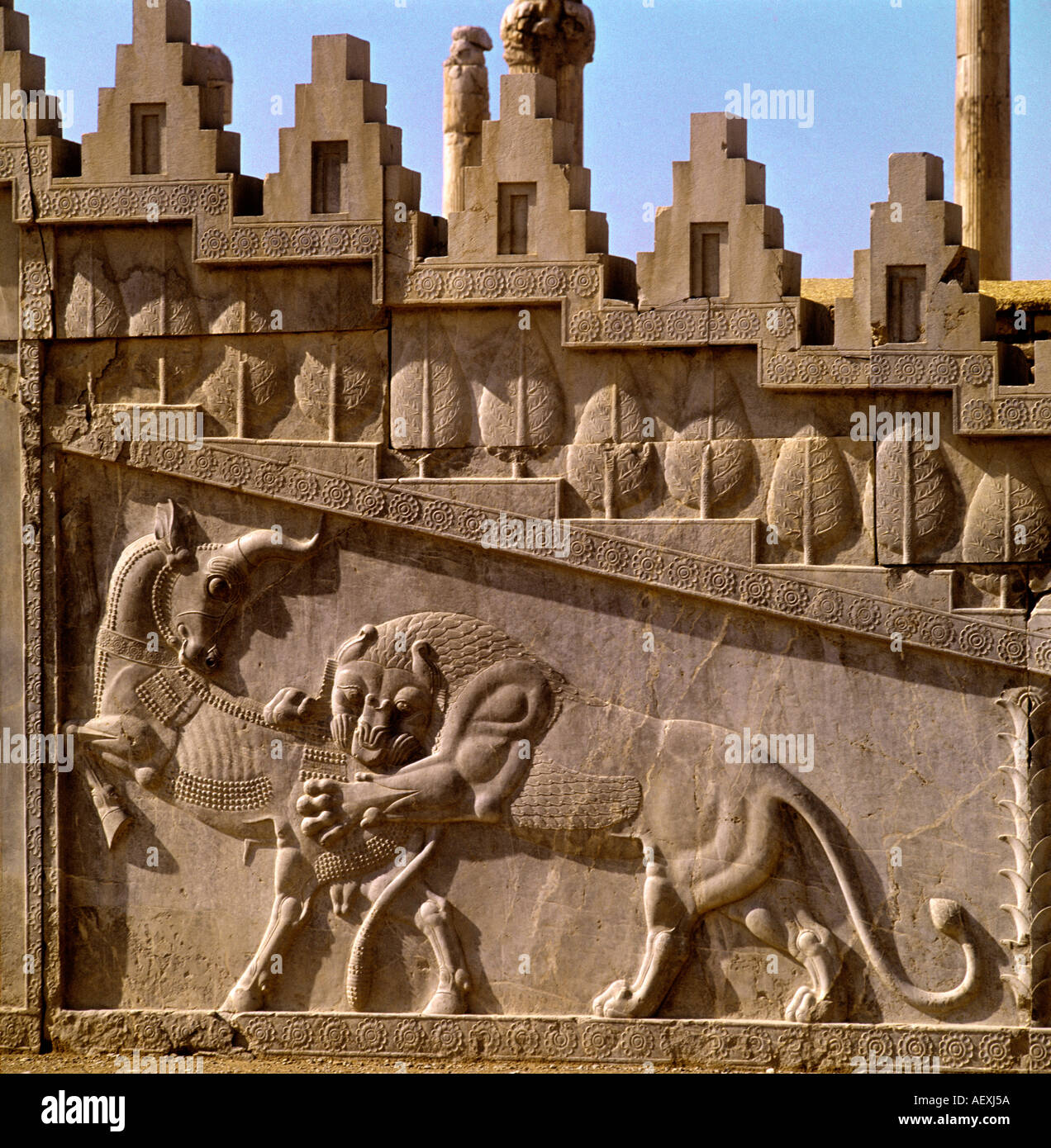Persepolis relief lion hi-res stock photography and images - Alamy