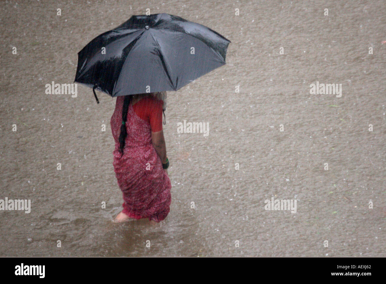 Indian woman in drenched wet saree walking in knee deep water monsoon ...