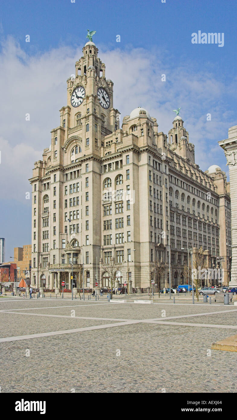 The Liver Building Liverpool Stock Photo - Alamy