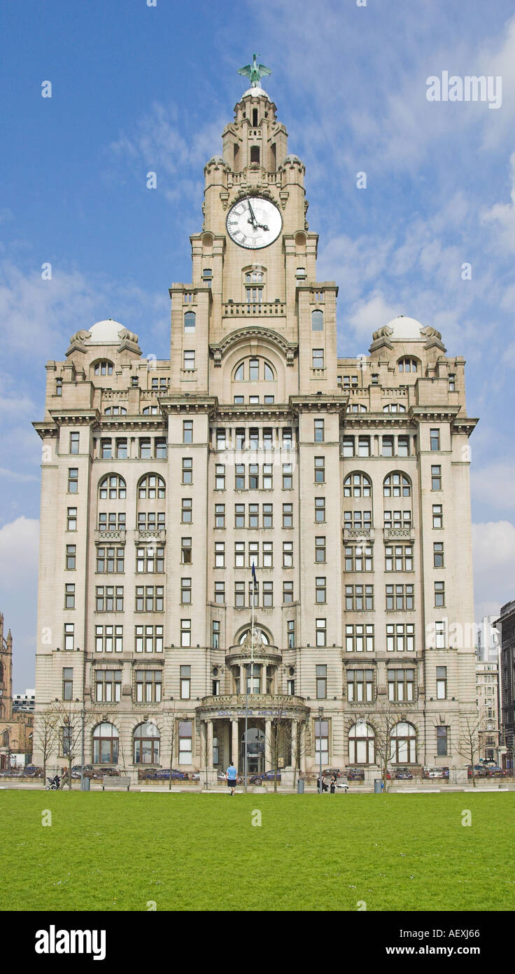 The Liver Building Liverpool Stock Photo - Alamy