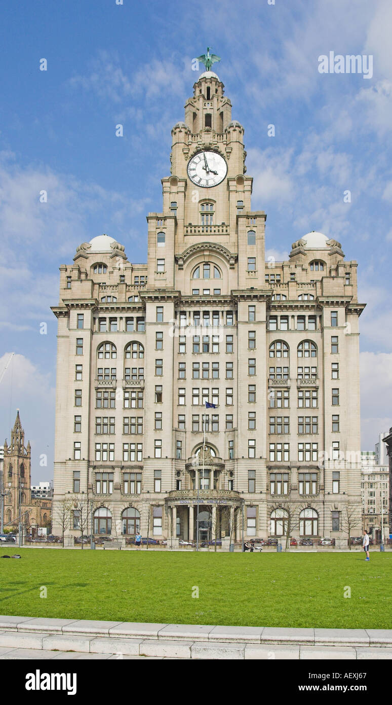 The Liver Building Liverpool Stock Photo - Alamy