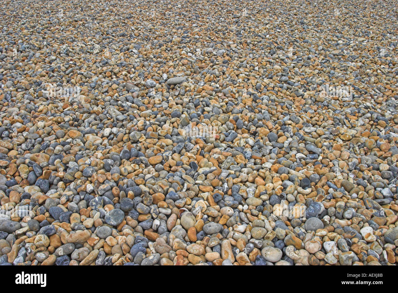 The pebbles of Brighton Beach Stock Photo - Alamy