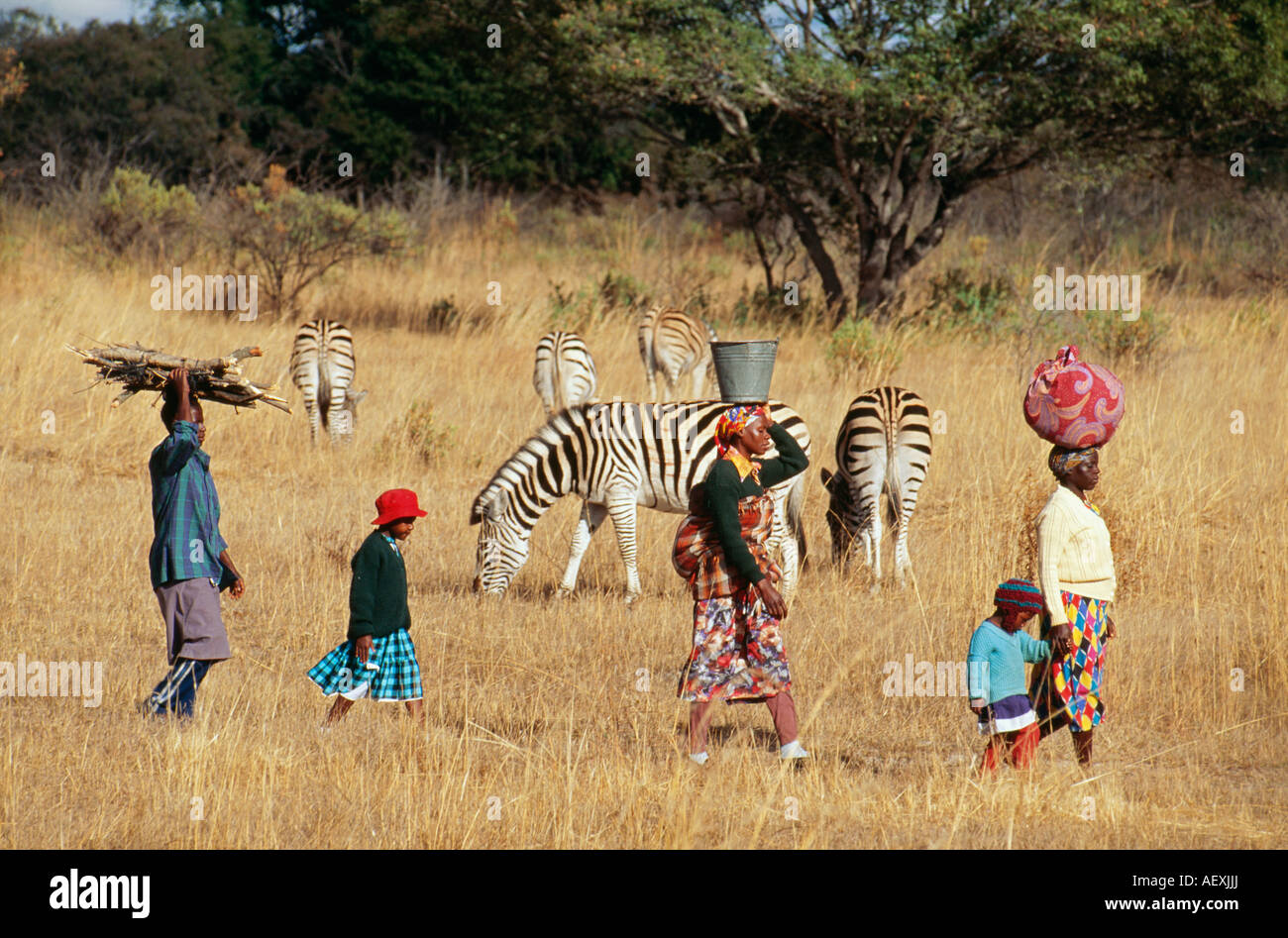 Zimbabwe people hi-res stock photography and images - Alamy