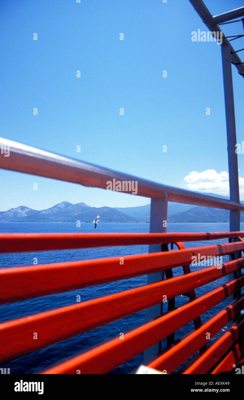 Blue bird ferry lines hi-res stock photography and images - Alamy