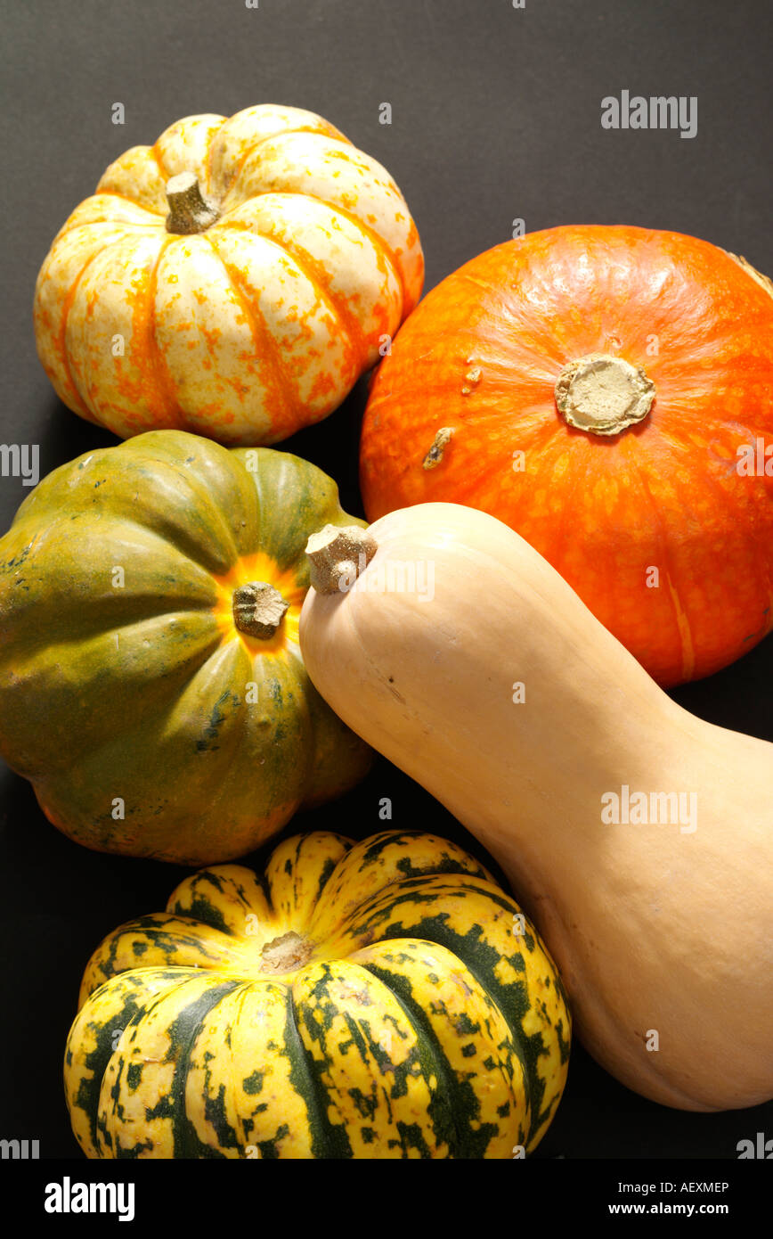 Range of squash varieties hi-res stock photography and images - Alamy