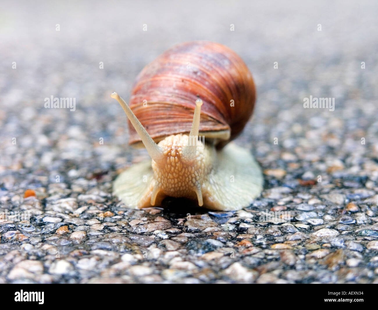Small funny caravan hi-res stock photography and images - Alamy