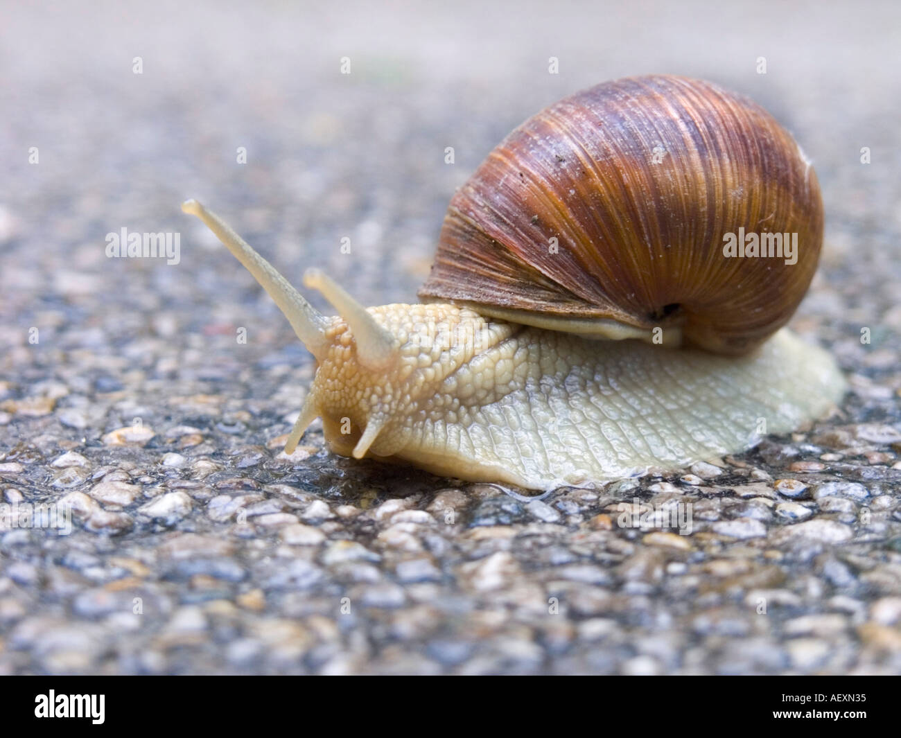 Small funny caravan hi-res stock photography and images - Alamy