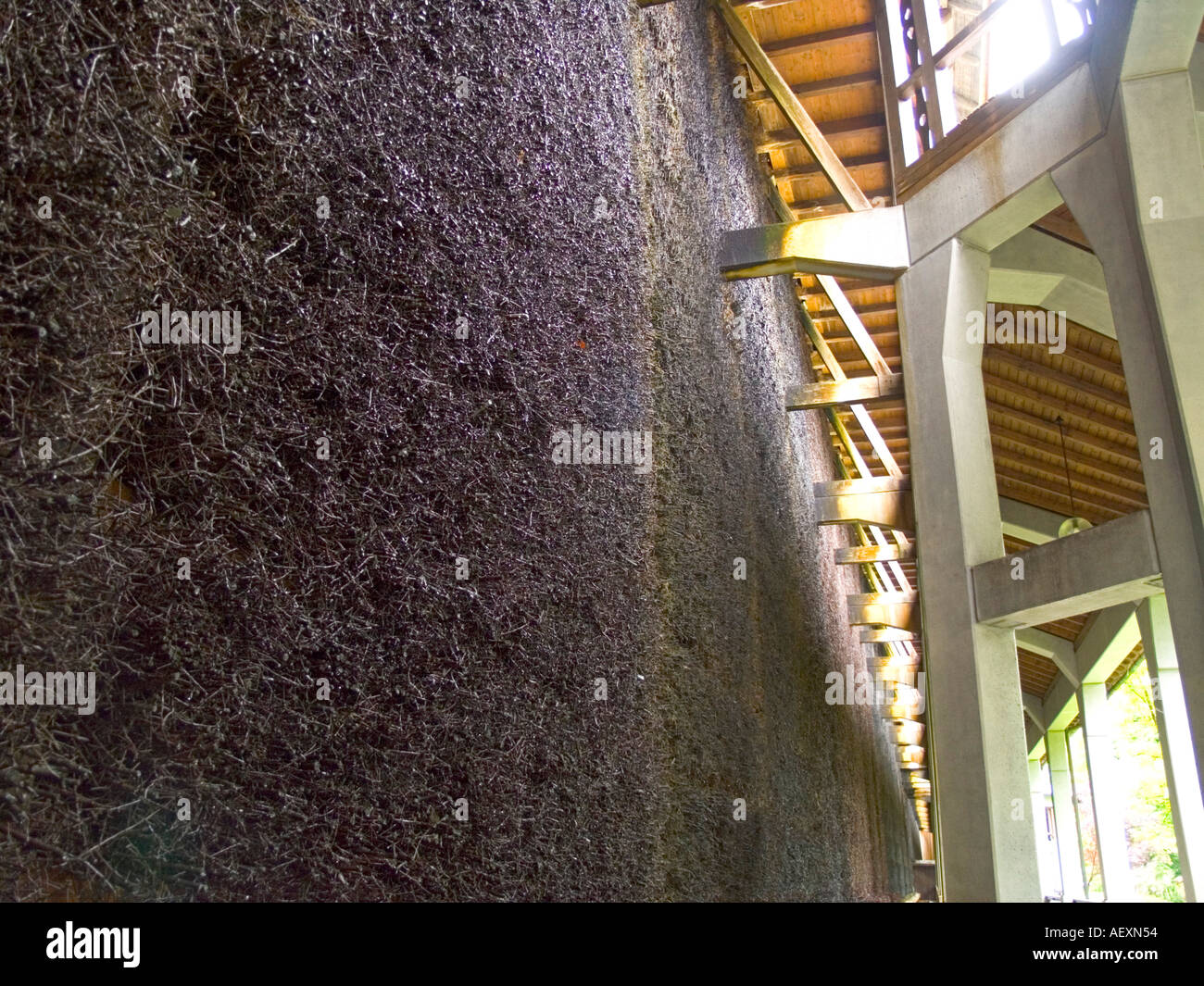 Bad reichenhaller hi-res stock photography and images - Alamy