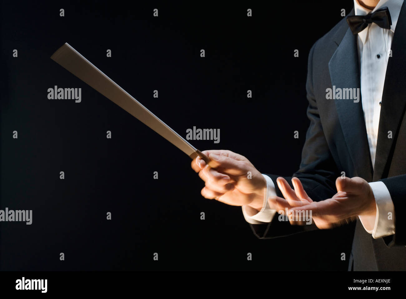 The hands of an orchestra conductor Stock Photo - Alamy