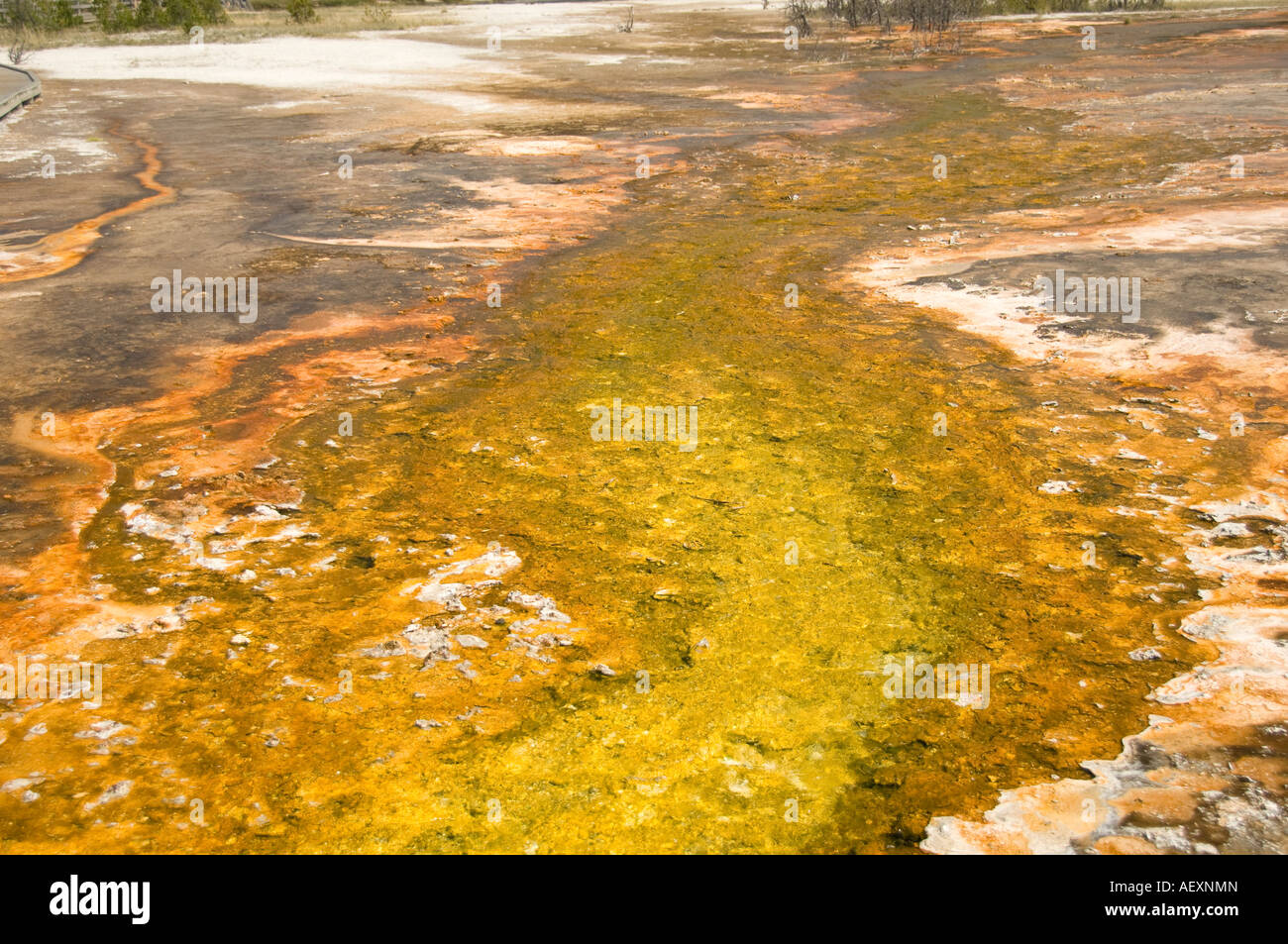 Biscuit Basin, Yellowstone National Park Stock Photo - Alamy