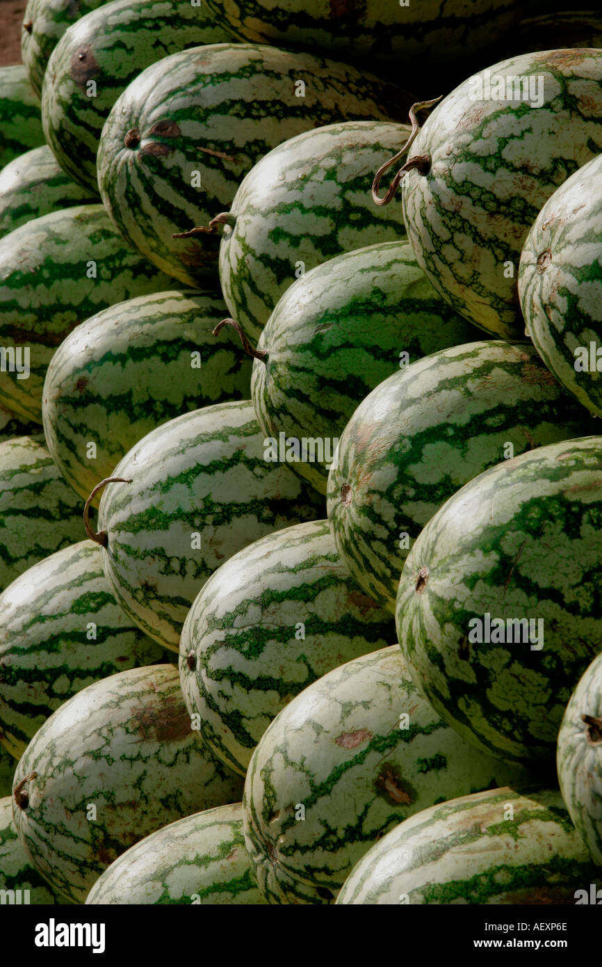 India water melons hi-res stock photography and images - Alamy
