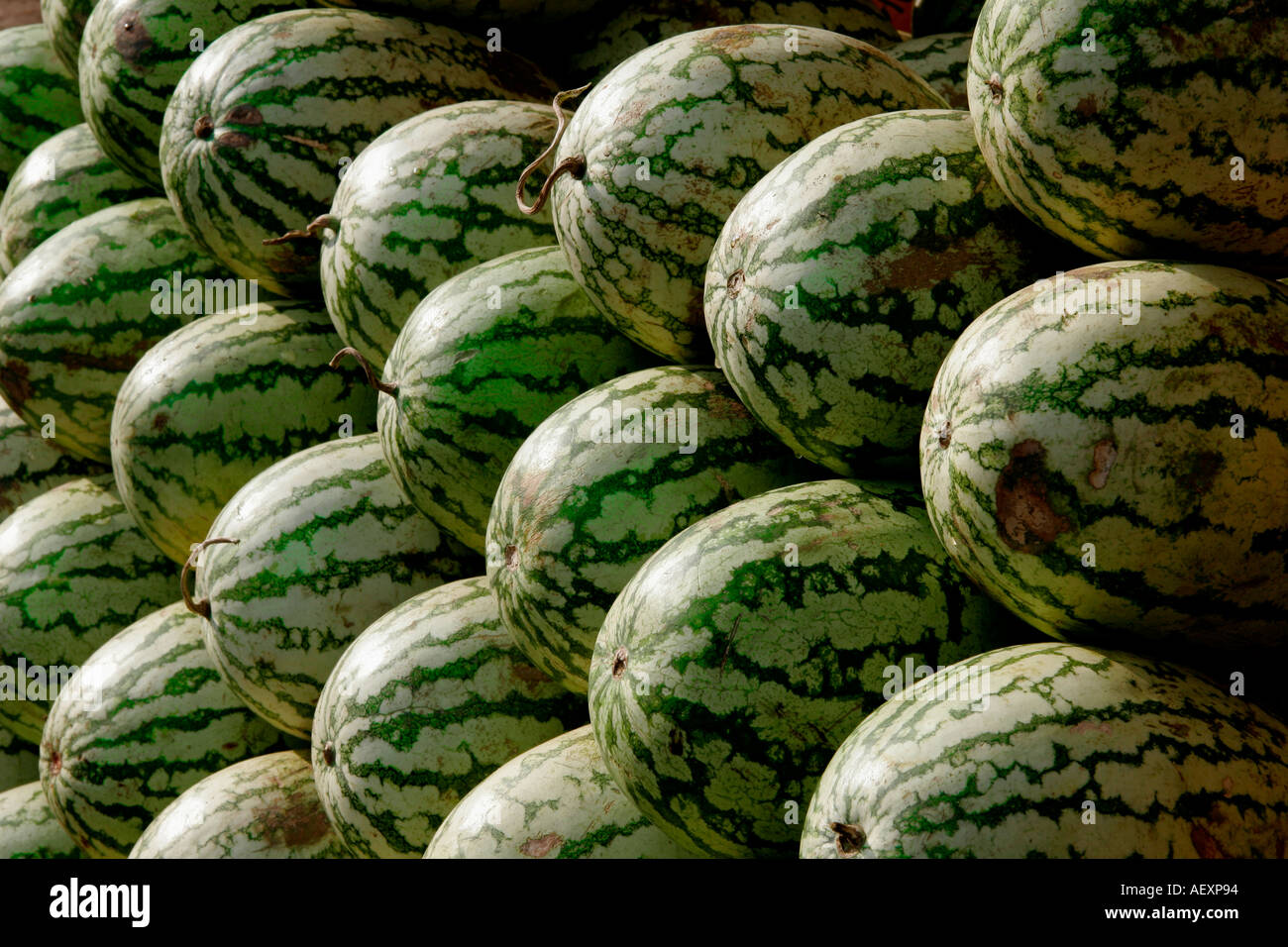 India water melons hi-res stock photography and images - Alamy