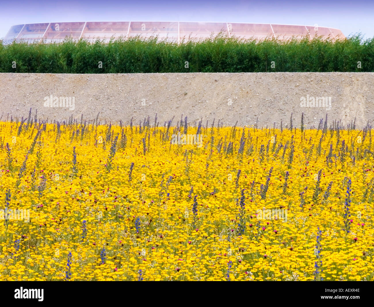 Buga garden show Munich Munchen München Muenchen Bayern Bavaria Germany ...