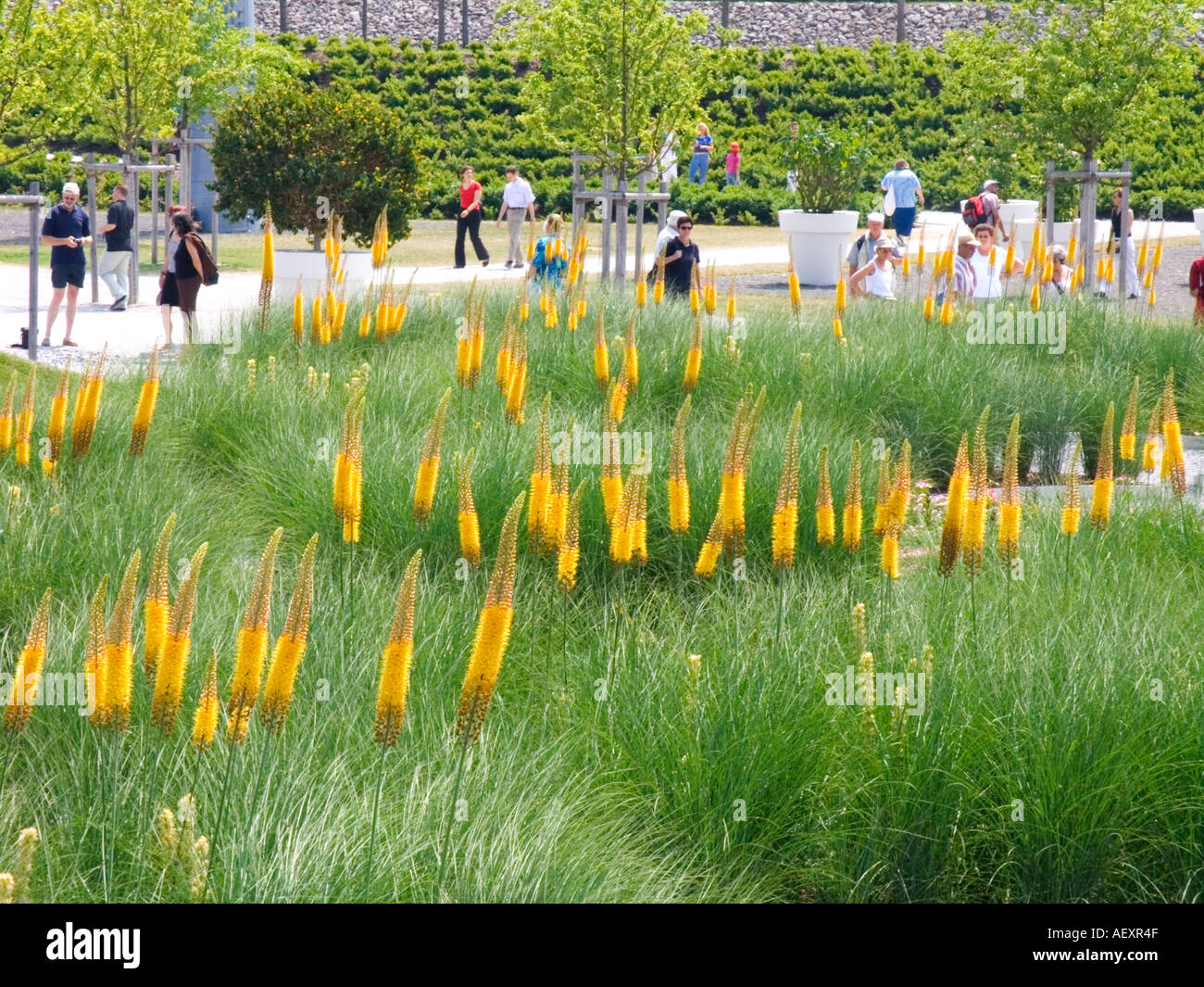 Buga park hi-res stock photography and images - Alamy