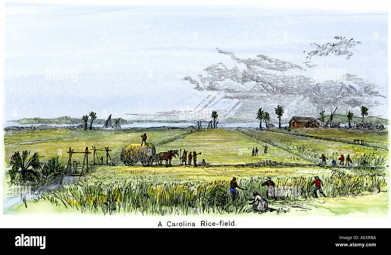 Slavery south america hi-res stock photography and images - Alamy