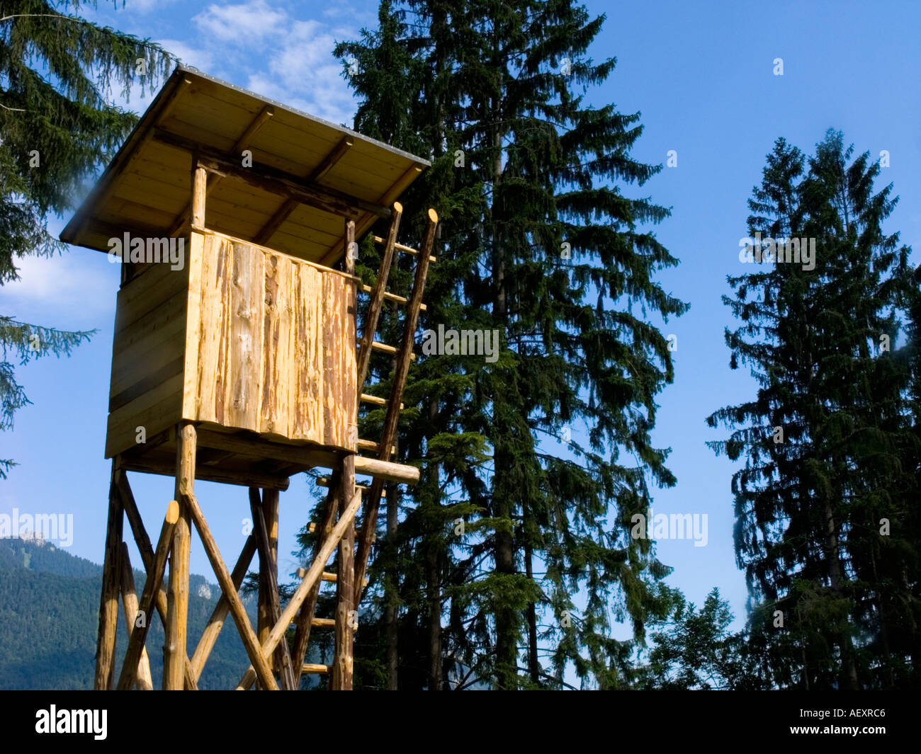 Hunt hunting hunter hut view height altitude watching overview hunter ...