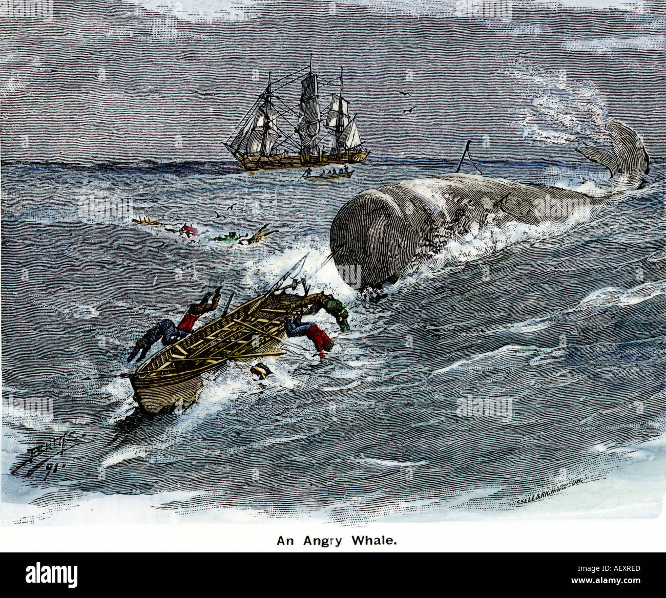 Whale harpoon hi-res stock photography and images - Alamy