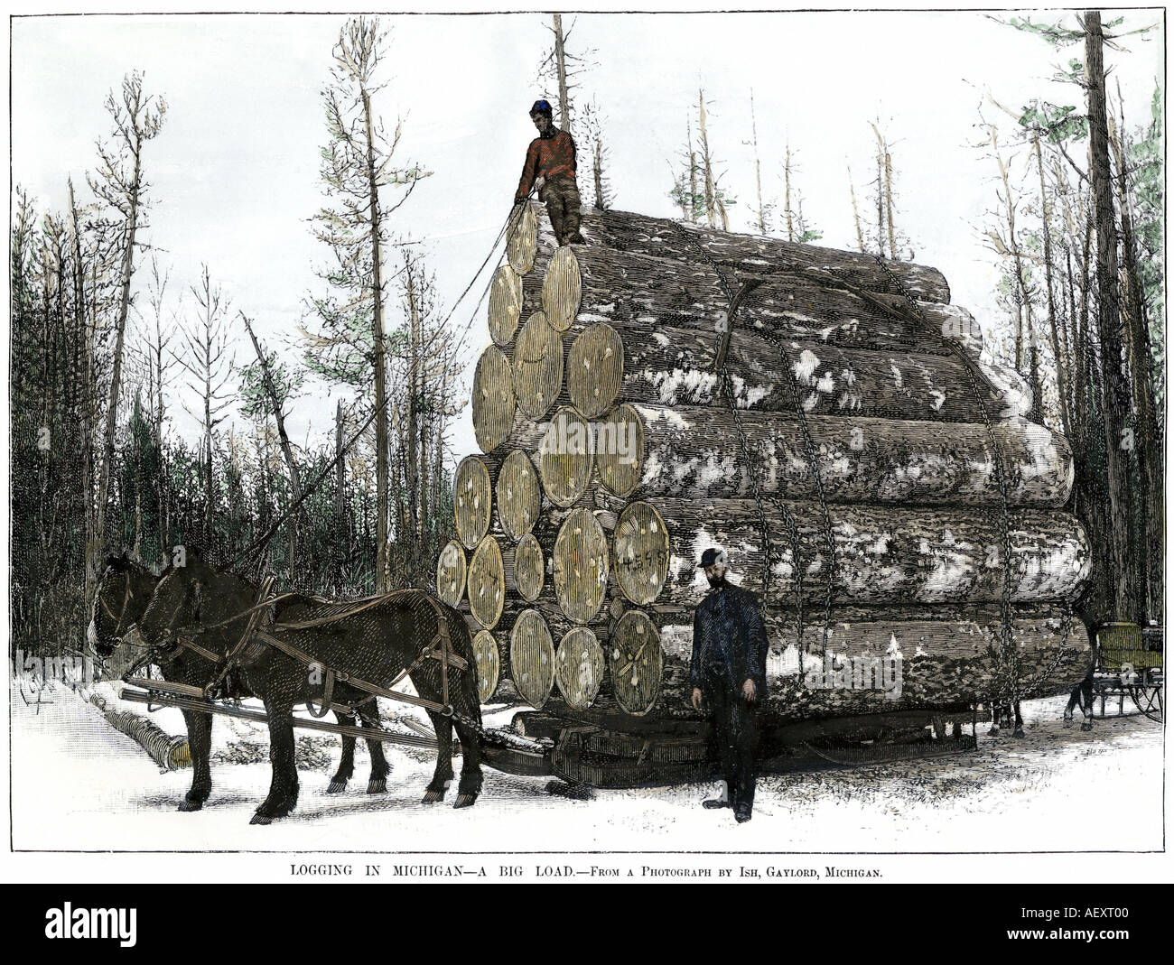 19th Century Logging High Resolution Stock Photography and Images - Alamy