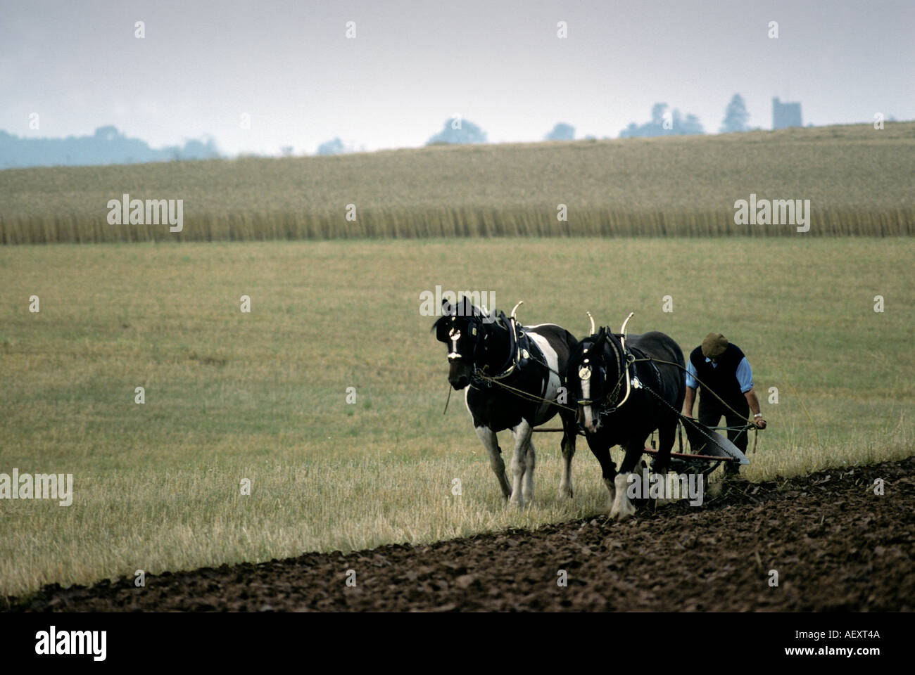 Traditional ploughing hi-res stock photography and images - Alamy