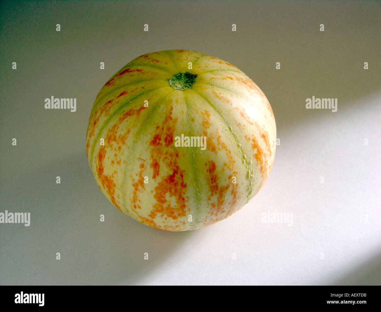 Melon fruit, musk melon, one uncut whole on white background Stock ...