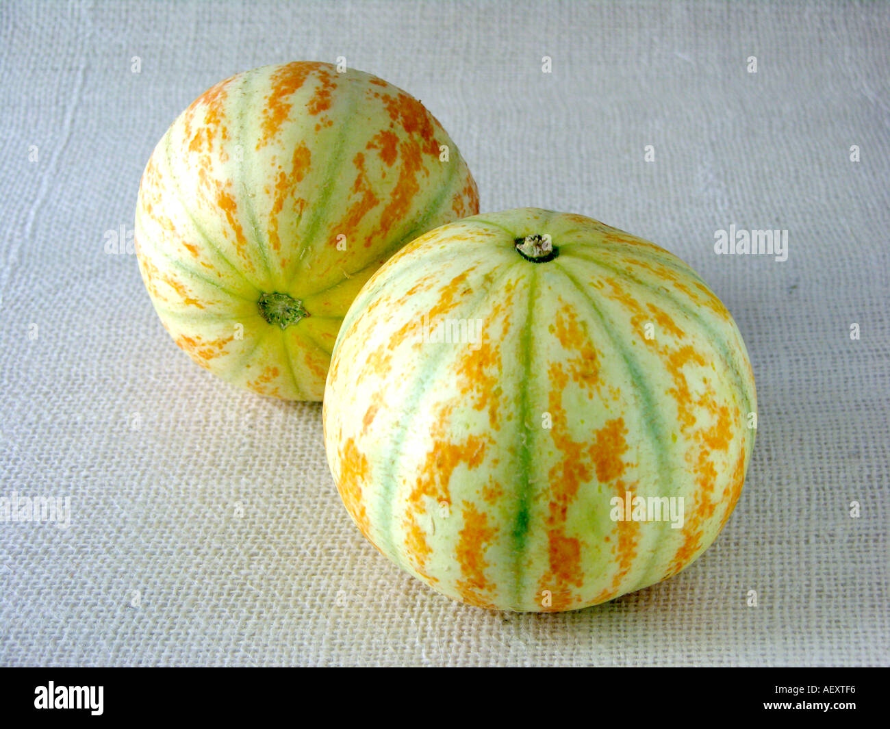 ADC71086 2 Two sweet melon fruit food juicy tasty round circular table ...