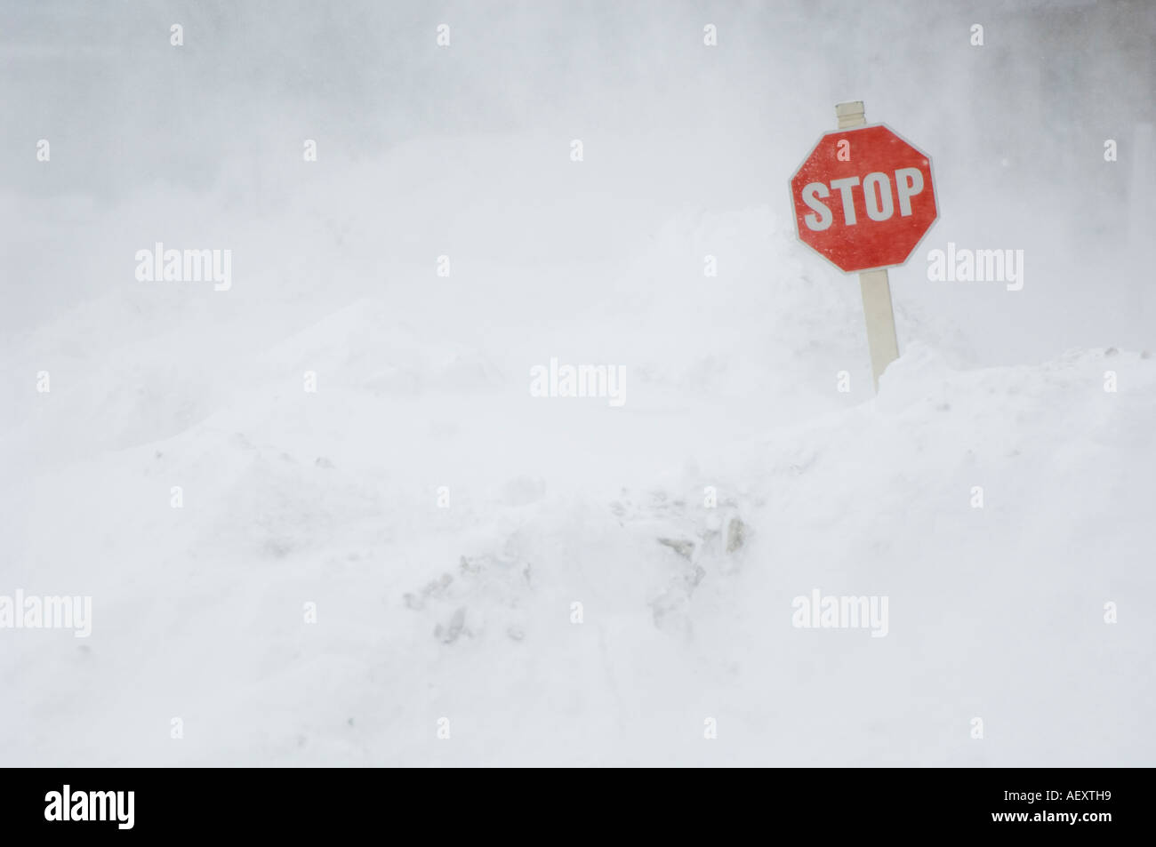 Stop sign in snow bank Stock Photo - Alamy